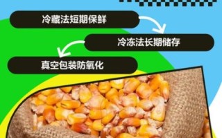 玉米干粮怎么做_玉米干粮保存多久