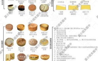 淡奶油戚风蛋糕怎么做_淡奶油戚风蛋糕失败原因