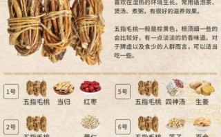 五指毛桃汤发苦原因_如何去除苦味