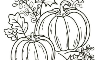 万圣节南瓜简笔画怎么画_万圣节南瓜图片素材哪里找