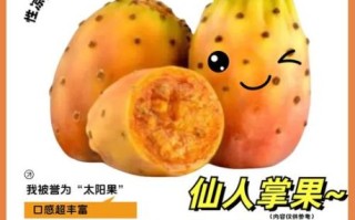 仙人掌果怎么吃_仙人掌果的正确吃法