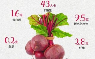 红甜菜根的功效与作用_红甜菜根怎么吃最好