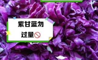 紫甘蓝哪些人不能吃_紫甘蓝禁忌人群