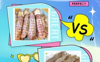 虾姑和皮皮虾的区别_哪个更好吃