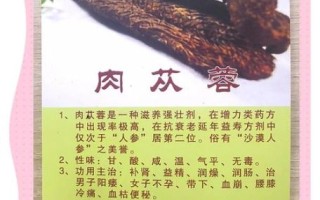 肉苁蓉的功效与作用及禁忌是什么_哪些人不能吃