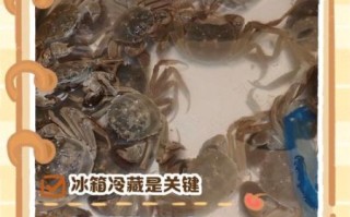 螃蟹吃不完怎么保存_活蟹隔夜还能吃吗