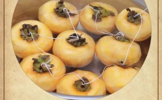 怎么做柿饼子_柿饼子晒制技巧