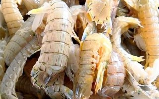 虾爬子蒸多久能好_虾爬子蒸几分钟才熟