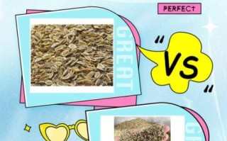 莳萝和茴香的区别_莳萝和茴香哪个香