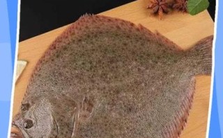 多宝鱼怎么杀_多宝鱼宰杀步骤图解