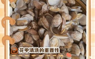 花甲要不要挤掉那坨屎_花甲清洗去沙技巧
