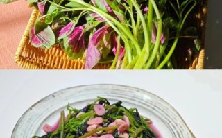 红苋菜怎么炒好吃_红苋菜的做法大全