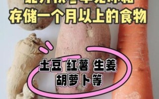 秋季蔬菜有哪些_秋季蔬菜怎么保存