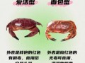 十大剧毒螃蟹有哪些_如何识别致命蟹种