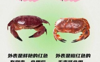 十大剧毒螃蟹有哪些_如何识别致命蟹种