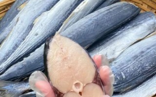 马鲛鱼干多少钱一斤_马鲛鱼干价格影响因素