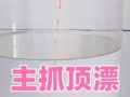 鲮鱼怎么钓用什么饵料_野钓鲮鱼技巧