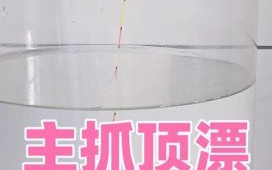 鲮鱼怎么钓用什么饵料_野钓鲮鱼技巧