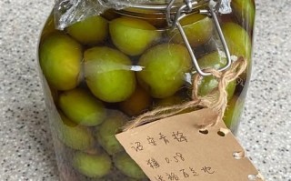 梅子酒怎么做最正宗_自制梅子酒比例是多少