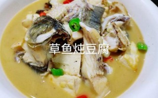 草鱼豆腐汤怎么炖不腥_草鱼豆腐汤放什么调料