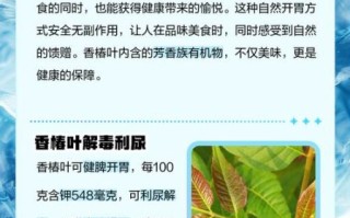 香椿老叶泡茶的功效_香椿老叶泡茶怎么喝