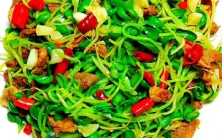 猪肉炒豆芽怎么炒好吃_猪肉炒豆芽的家常做法