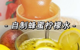 蜂蜜柠檬茶怎么做_蜂蜜柠檬茶的做法大全