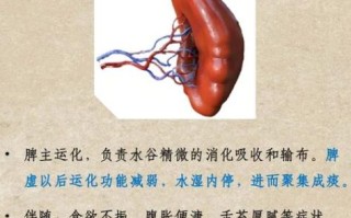 鱼生火肉生痰出自哪里_俗语溯源与中医解读