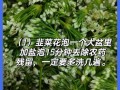 韭菜花怎么腌制_韭菜花腌制方法