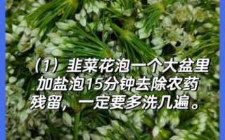 韭菜花怎么腌制_韭菜花腌制方法