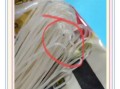 螺蛳粉太恶心了_为什么有人觉得臭