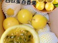 百香果产地哪里最好_广西福建哪个更甜