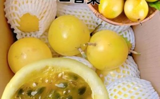 百香果产地哪里最好_广西福建哪个更甜