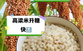 高粱米含糖量高吗_糖尿病人能吃吗