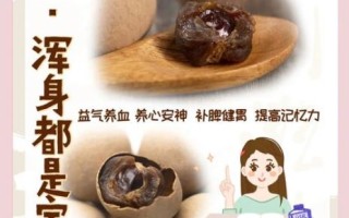龙眼肉是什么东西_龙眼肉的功效与作用