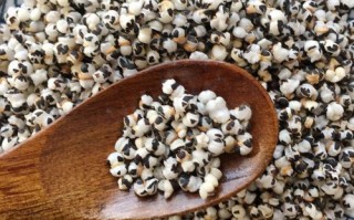 王不留行图片长什么样_王不留行中药图片真假辨别