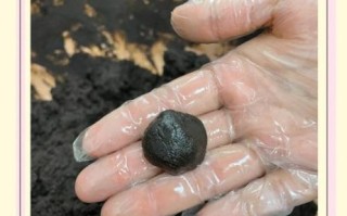 鹿胎膏怎么吃效果最好_鹿胎膏正确吃法