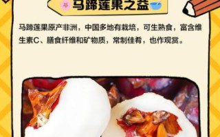 马蹄果怎么吃最好吃_马蹄果的做法大全