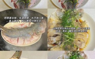 清蒸鱼懒人做法大全_清蒸鱼怎么蒸不腥