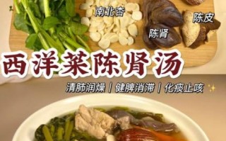 冬天降火汤的做法大全_哪些食材最去火