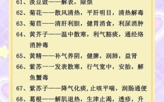 药膳与食疗的区别_如何正确搭配药膳食材