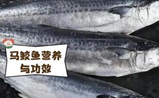 马鲛鱼多少钱一斤2021_2021年马鲛鱼价格走势