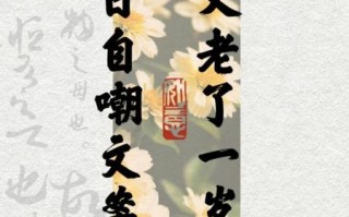 又老了一岁怎么办_幽默句子怎么写