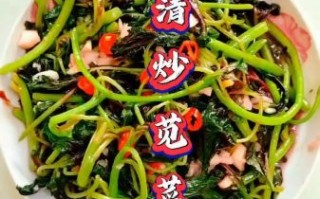 清炒苋菜怎么做_苋菜要不要焯水