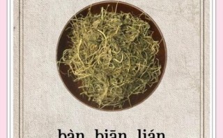 半边莲的功效与作用_半边莲能治什么病