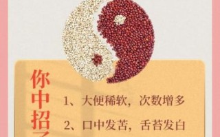 薏米红豆粉能减肥吗_薏米红豆粉的功效与作用