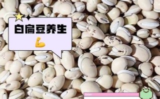 炒白扁豆和白扁豆的区别_功效差异