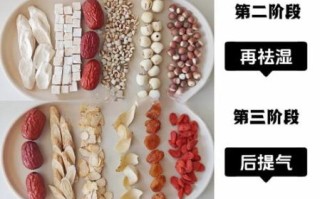 补气健脾的食物有哪些_怎么吃最有效