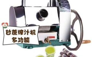 家用甘蔗榨汁机哪款好_家用甘蔗榨汁机怎么用