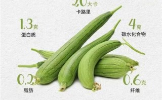 丝瓜功效与作用及禁忌_什么人不能吃丝瓜